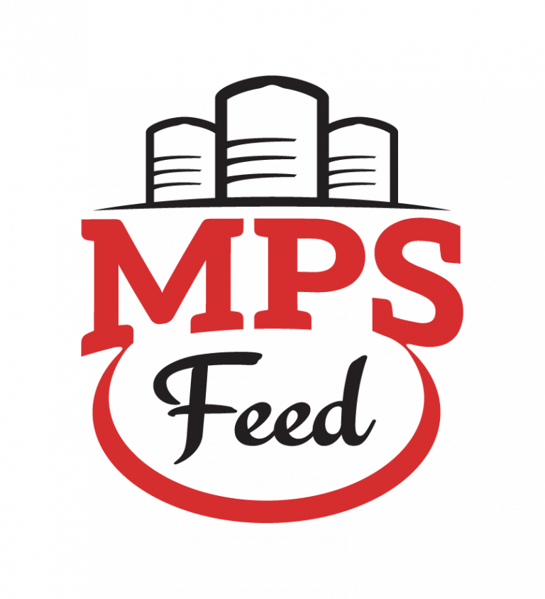 Mercer Landmark | Feed