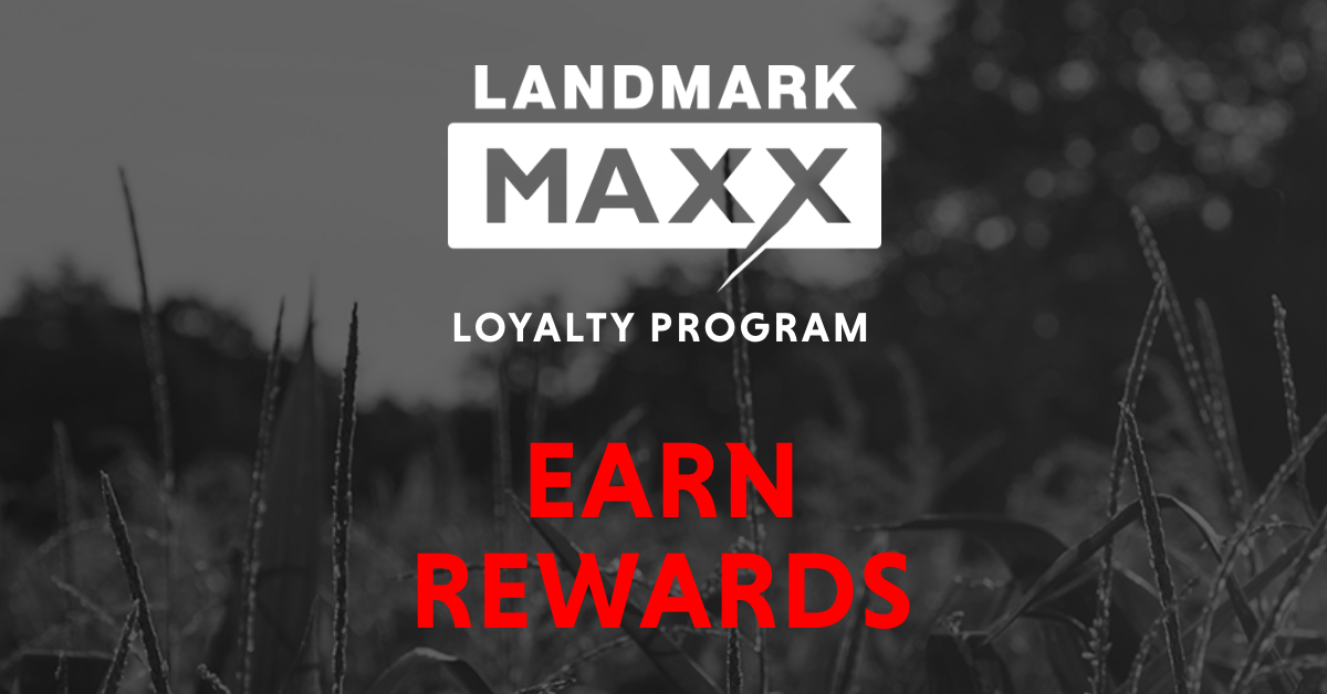 Mercer Landmark | Landmark Maxx